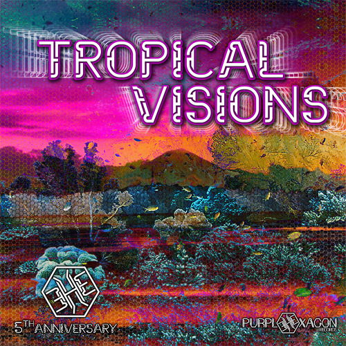 Purple Hexagon Record Label Party In Malta · 1 Sept 2012 · meeting ...