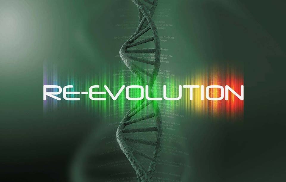 RE-EVOLUTION - FULLMOON PSYTRANCE IRELAND · 21 Apr 2017 · DUBLIN CITY ...